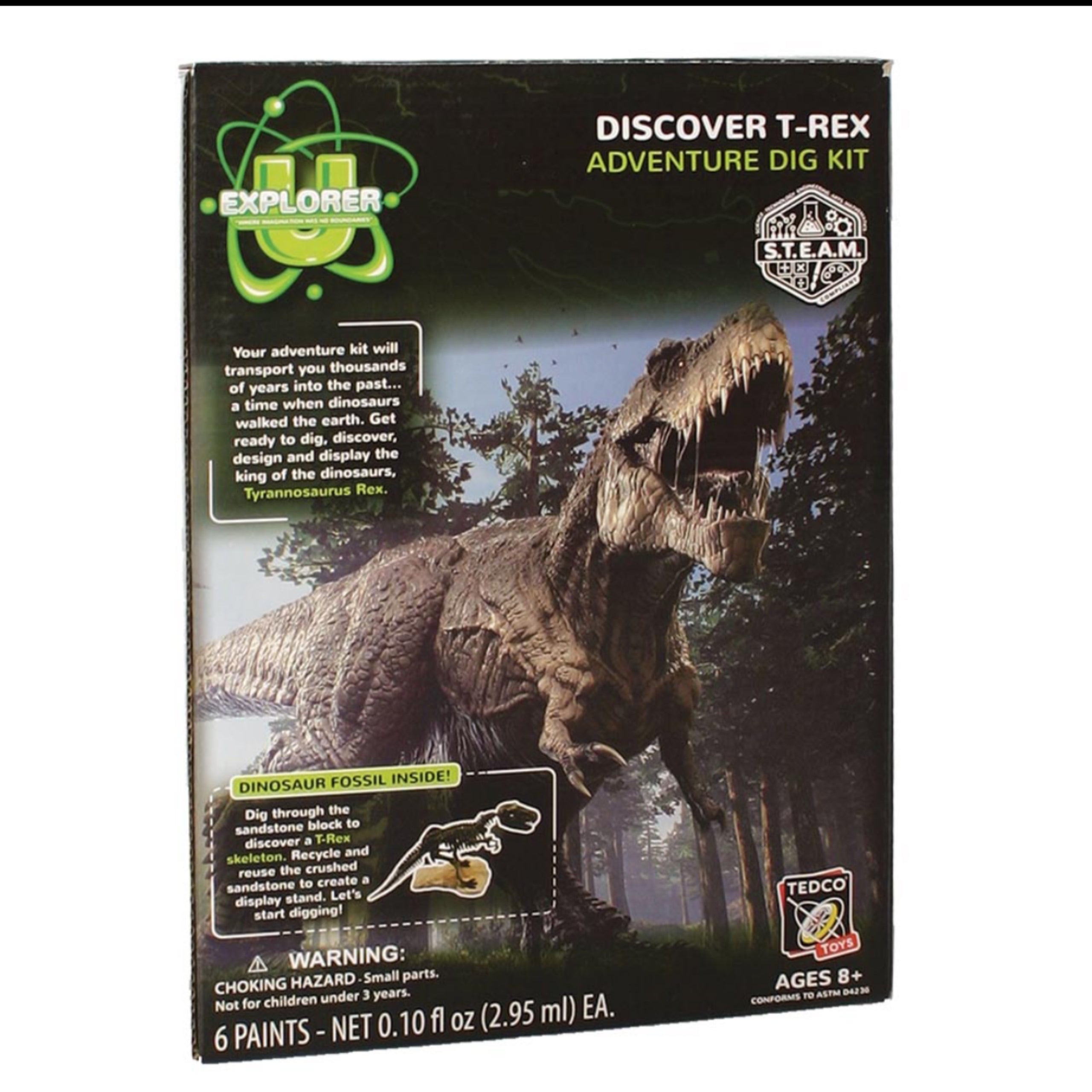 T-Rex Discovery Dig Kit | RPS Toys
